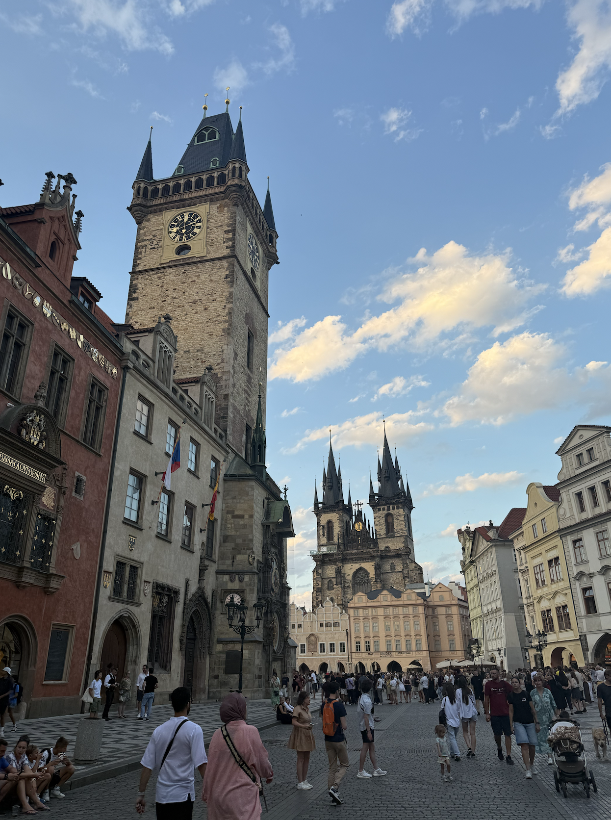 Tiny Shells, Big Ideas: Emily Talks Forams in Prague – The Bryant Lab